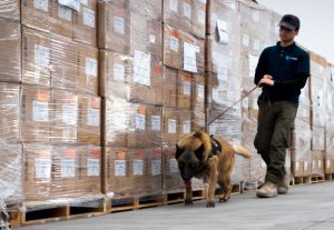 Globalway - G-Global